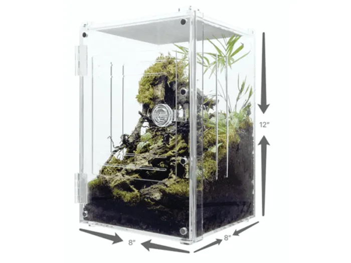 Herpcult Acrylic Enclosure Front-Opening Small (With slits and lock) 8 ...